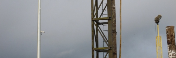 Dolphins / Piers / Wharves