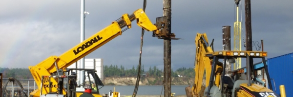 Dolphins / Piers / Wharves